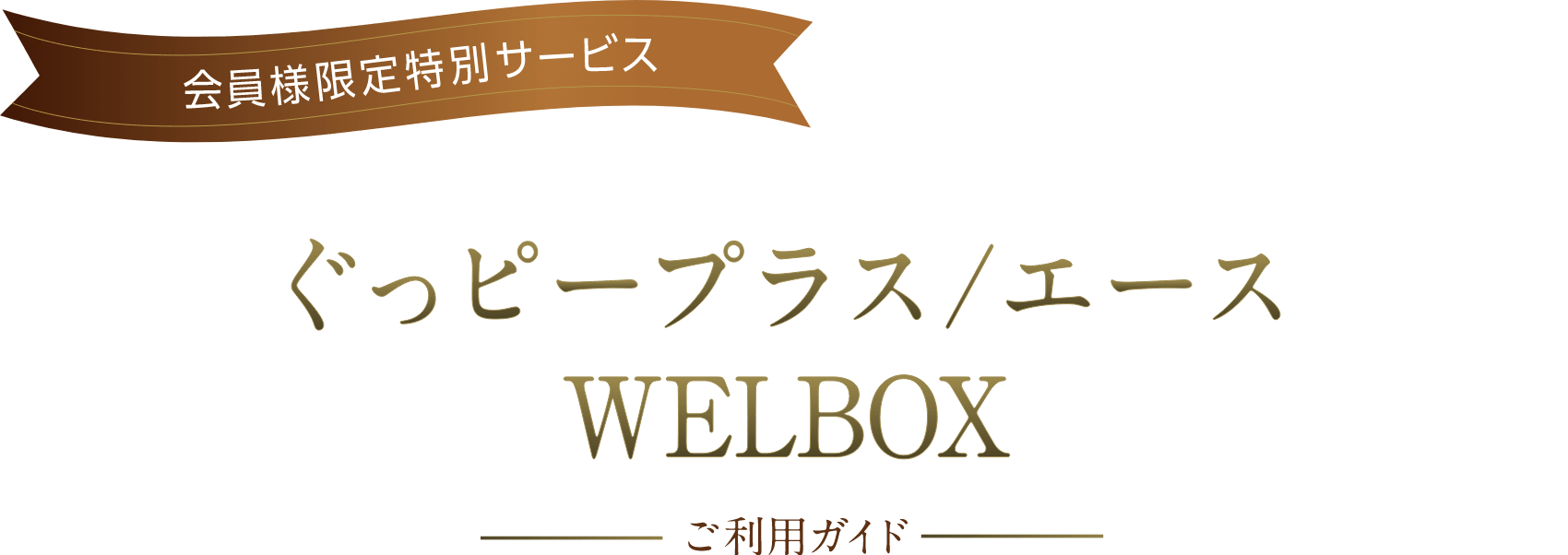 ぐっピープラス／エース WELBOX ご利用ガイド